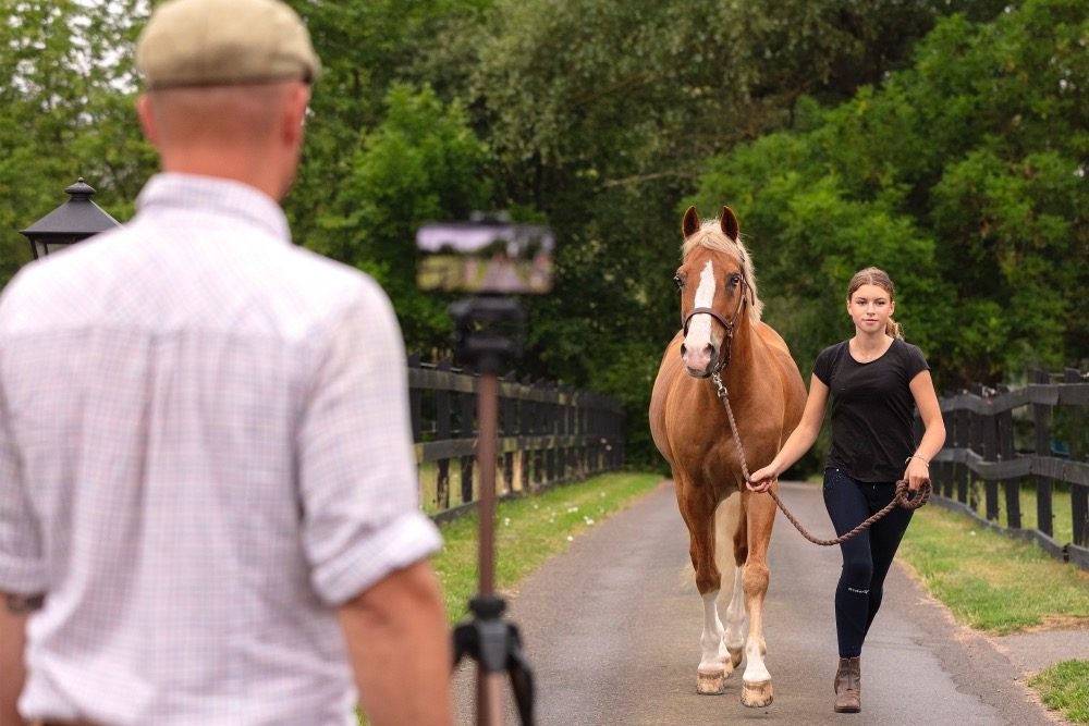 Partnership Uses Artificial Intelligence to Detect Equine Lameness